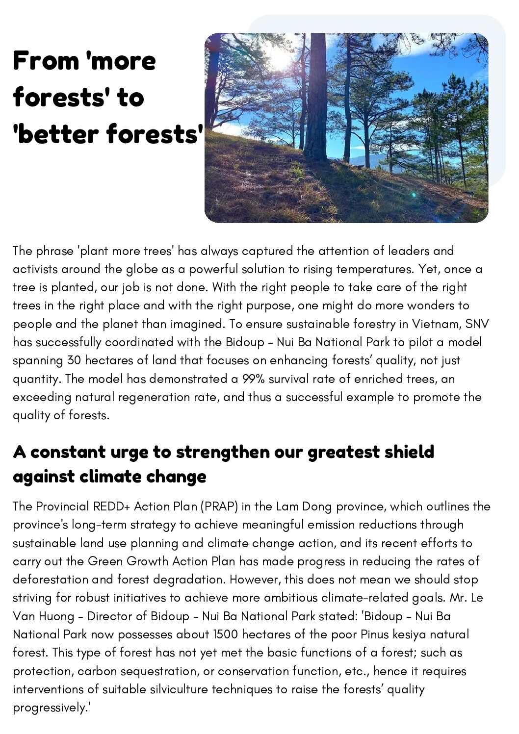 From ‘more forests’ to ‘better forests’ – International Climate ...