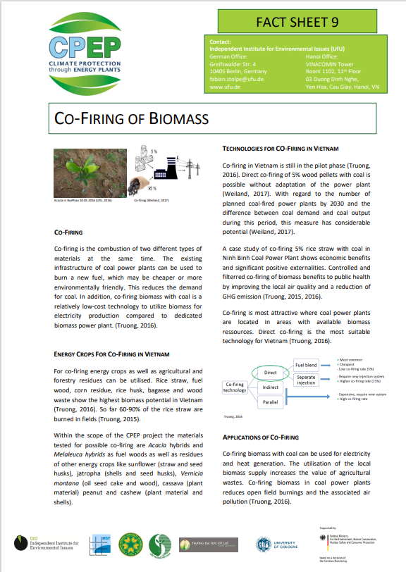 Co-firing of Biomass – International Climate Initiative (IKI) in Viet Nam