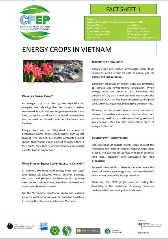 Energy crops in Viet Nam – International Climate Initiative (IKI) in ...