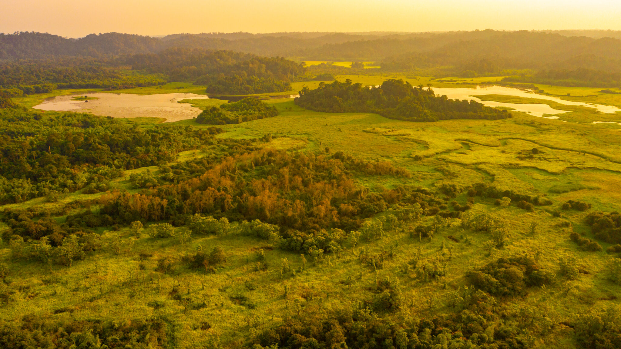 New National Climate Change Strategy to 2050 to Meet Net-Zero Pledge ...